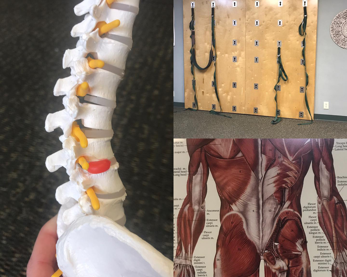 Results Rehabilitation, Inc. - Coronado Visitor Center