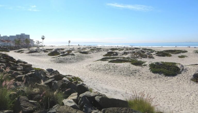 Coronado Beach Walking Tour by Emerald Keepers - Coronado Visitor Center