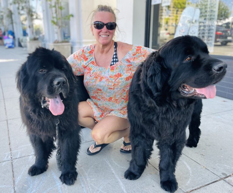 Dog-Lovers Guide to Coronado - Coronado Visitor Center